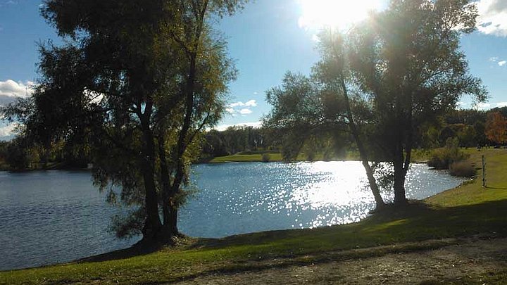 Pleschingersee in Linz