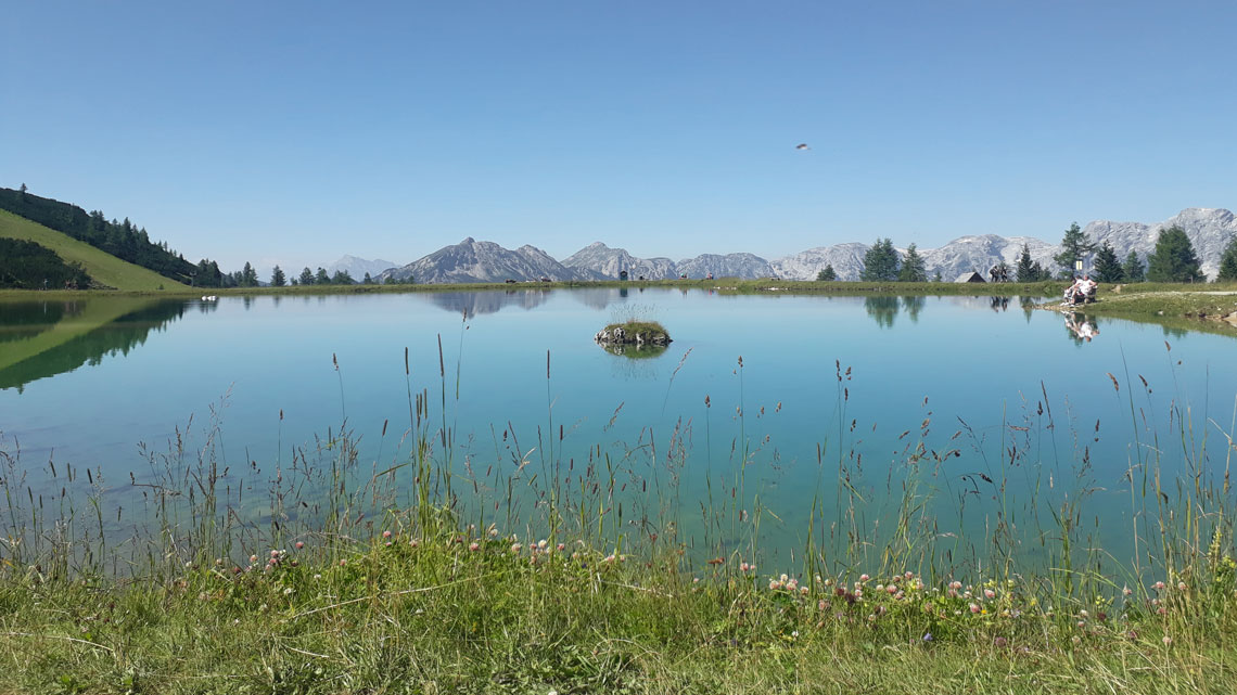 Wanderung Höss-Alpin-Runde in Hinterstoder
