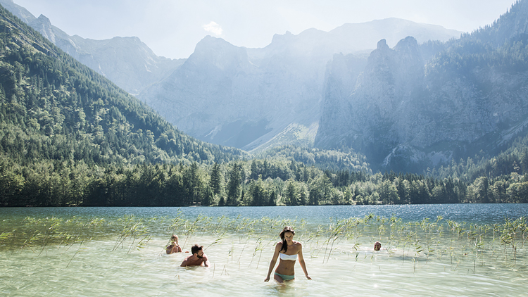 Sommer im Langbathsee genießen